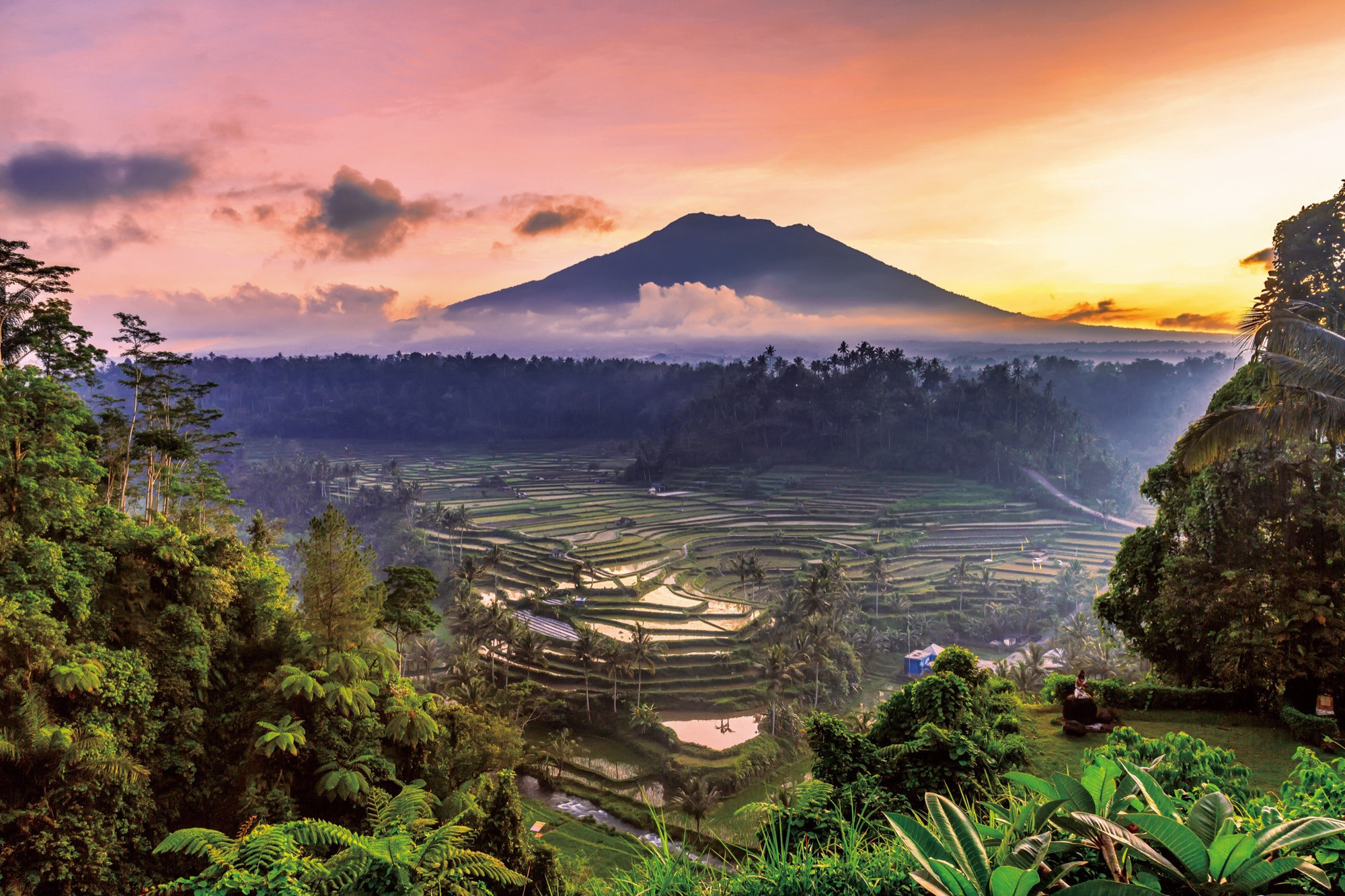 Sacred Bali – Morning Calm
